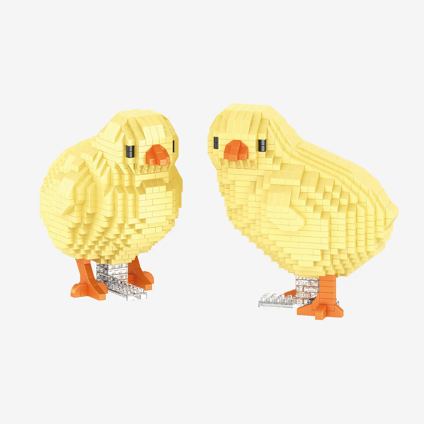 Chicken chicks | 109085