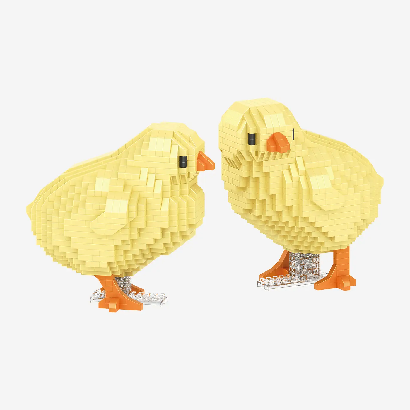 Chicken chicks | 109085