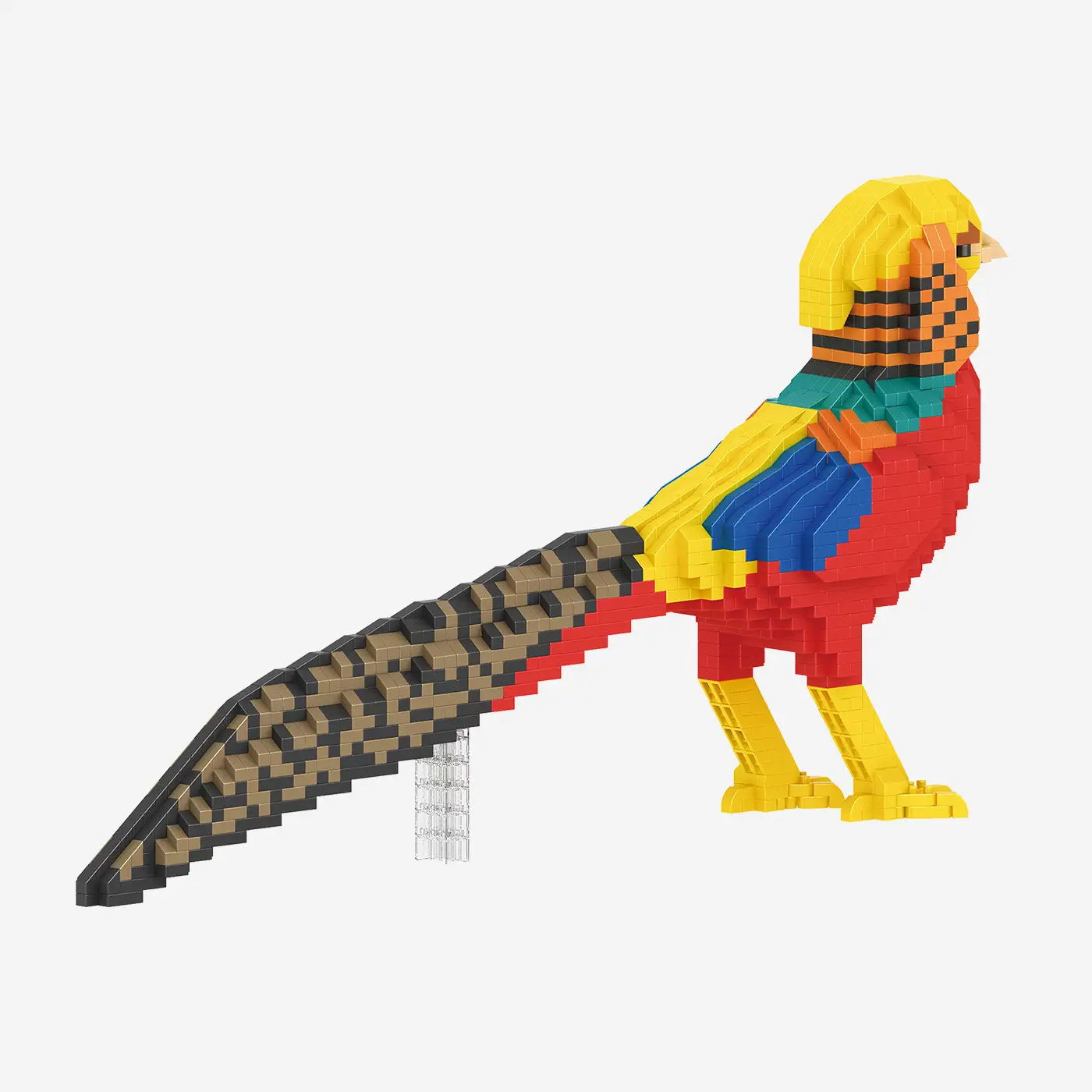Golden Pheasant | 109084