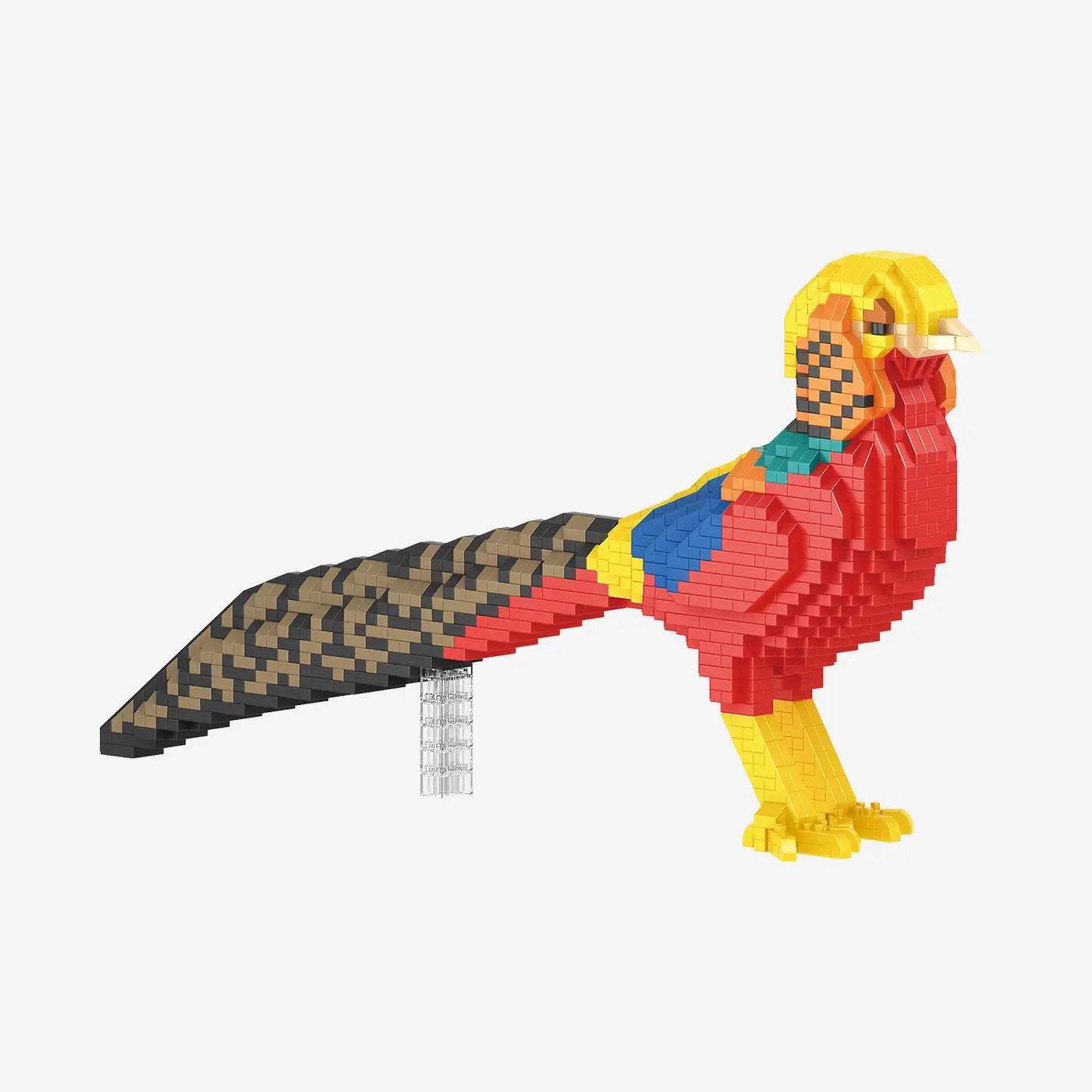 Golden Pheasant | 109084