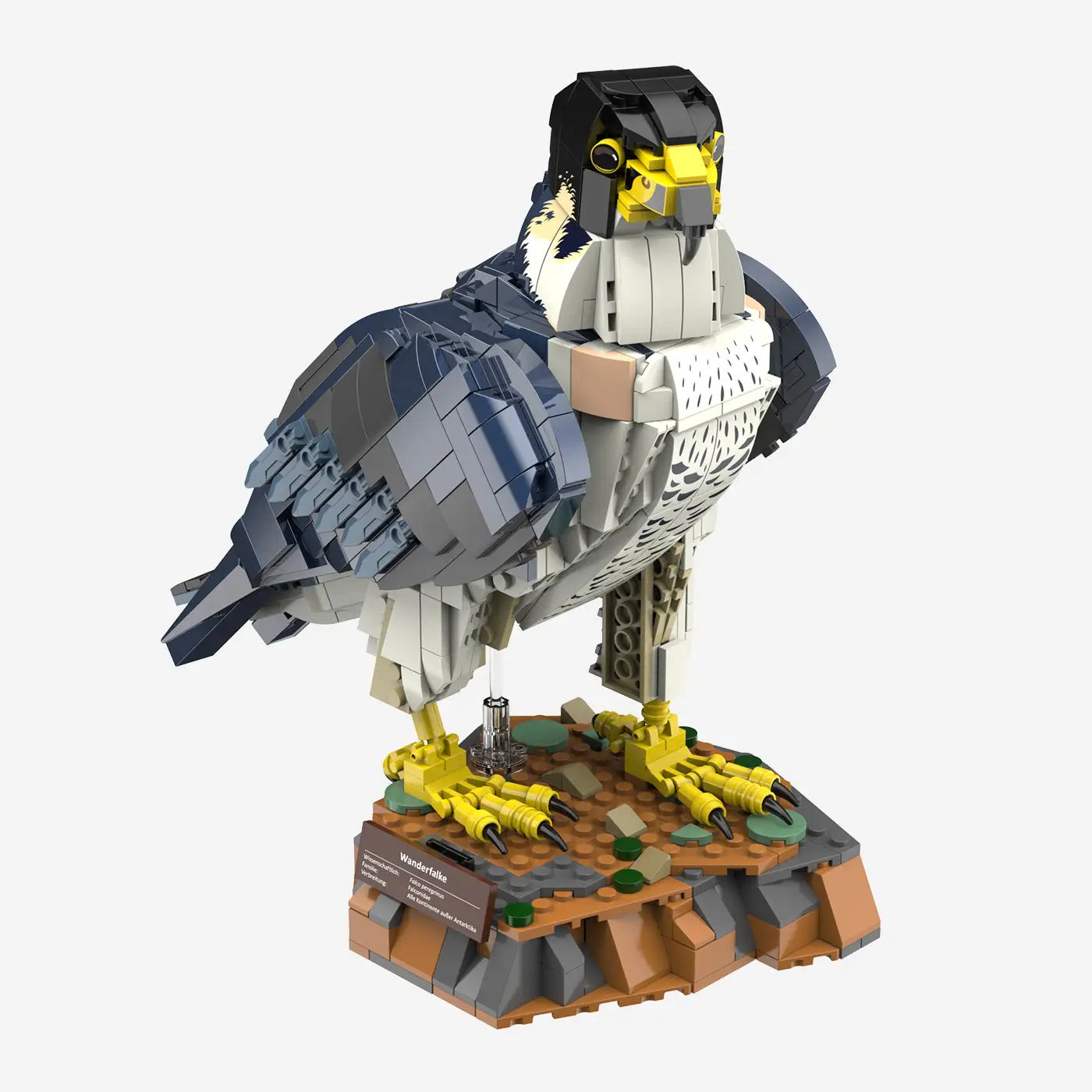 Peregrine falcon | 108694