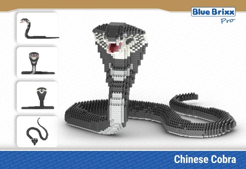 Cobra (diamond blocks) online kaufen | BlueBrixx